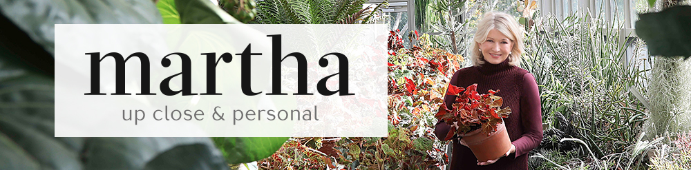 Basket House - The Martha Stewart Blog